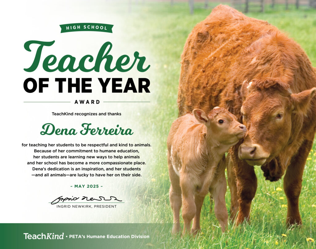 In NYC, South Bronx School Teacher Crowned PETA's Teacher Of The Year ...